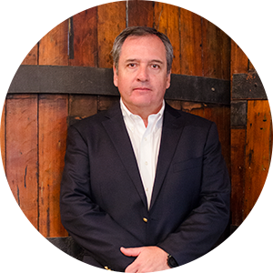 INICIO - Teroa Wines